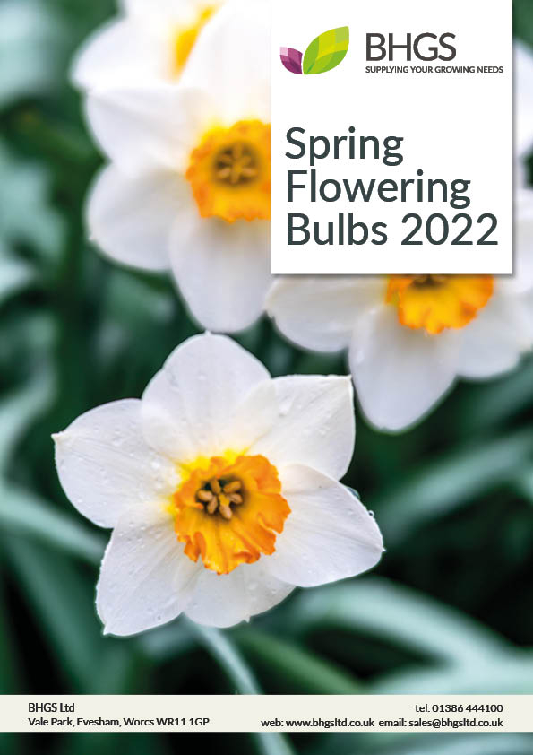 Spring Flowering Bulbs - BHGS Ltd